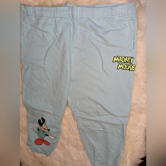 Disney | Pants & Jumpsuits | Disney Sweat Pants Size 2x Turquoise With ...